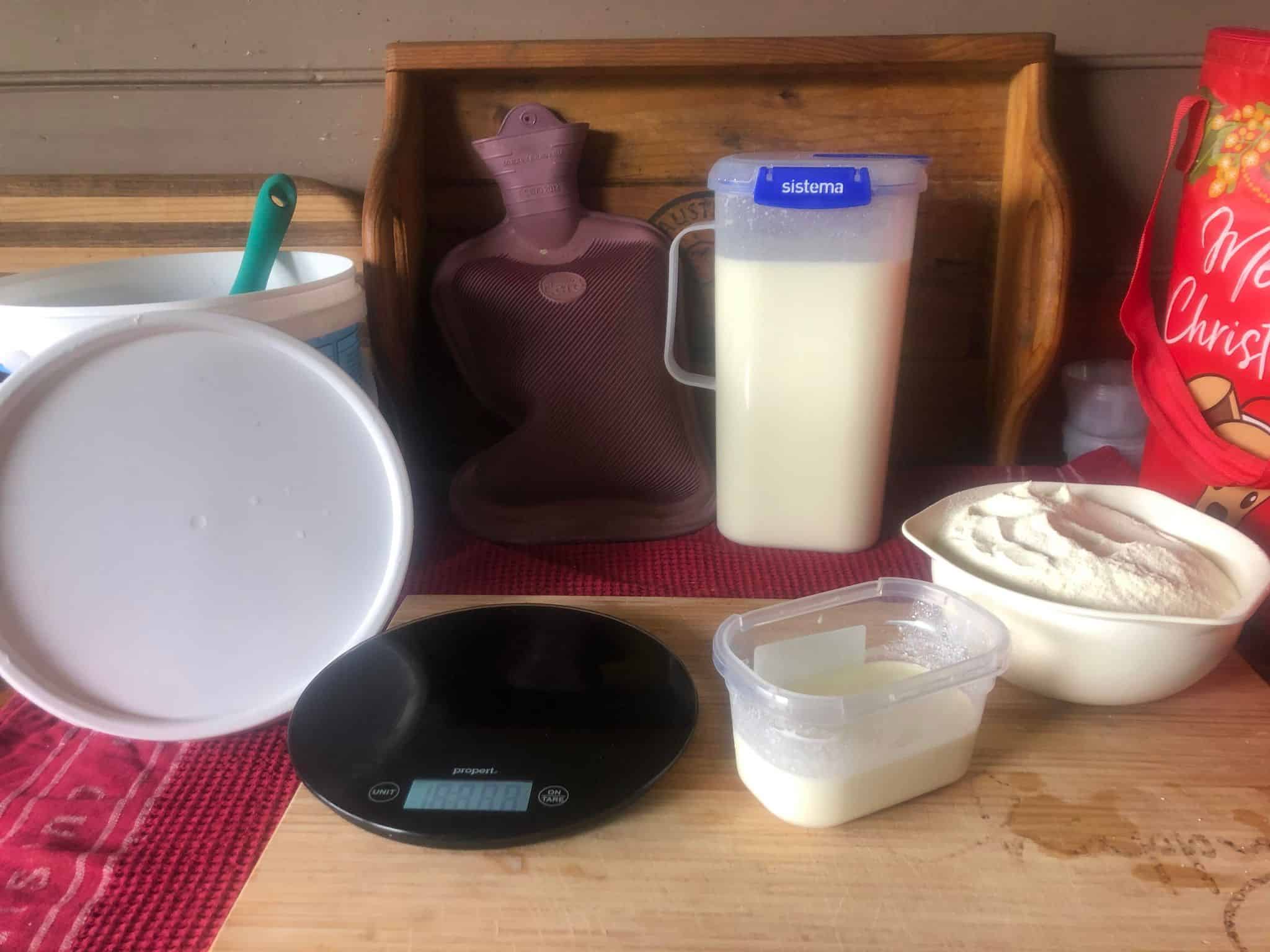 Yoghurtised Milk - Lamb Care Australia