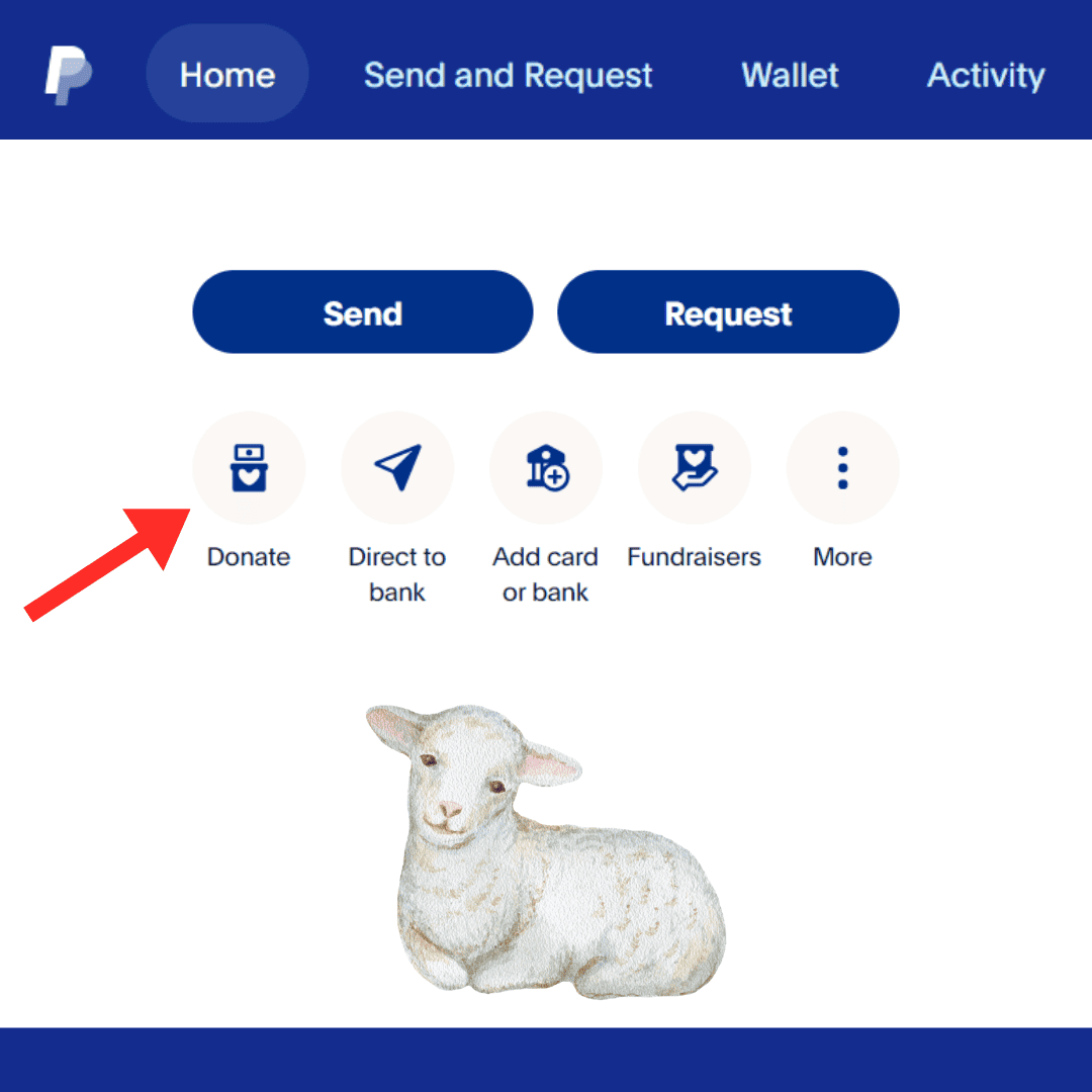 Paypal Give at Checkout - Lamb Care Australia